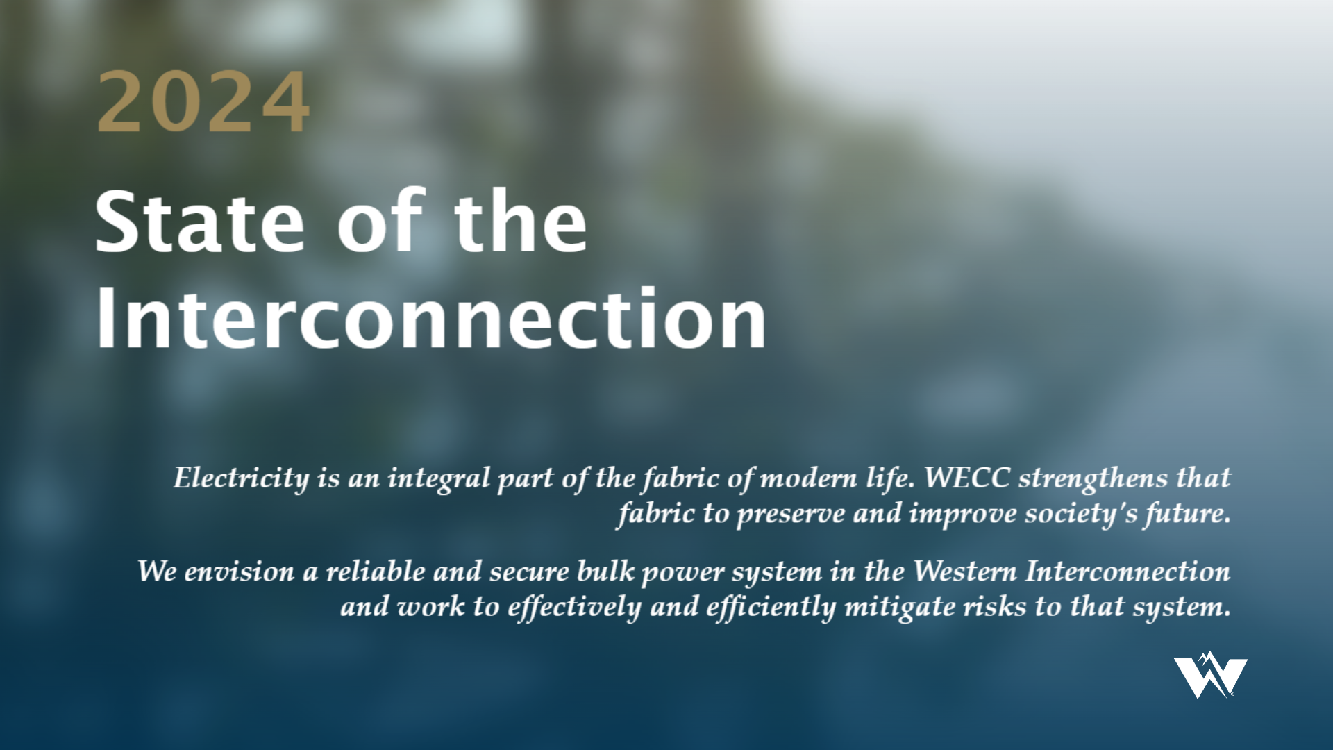 State of the Interconnection 2024